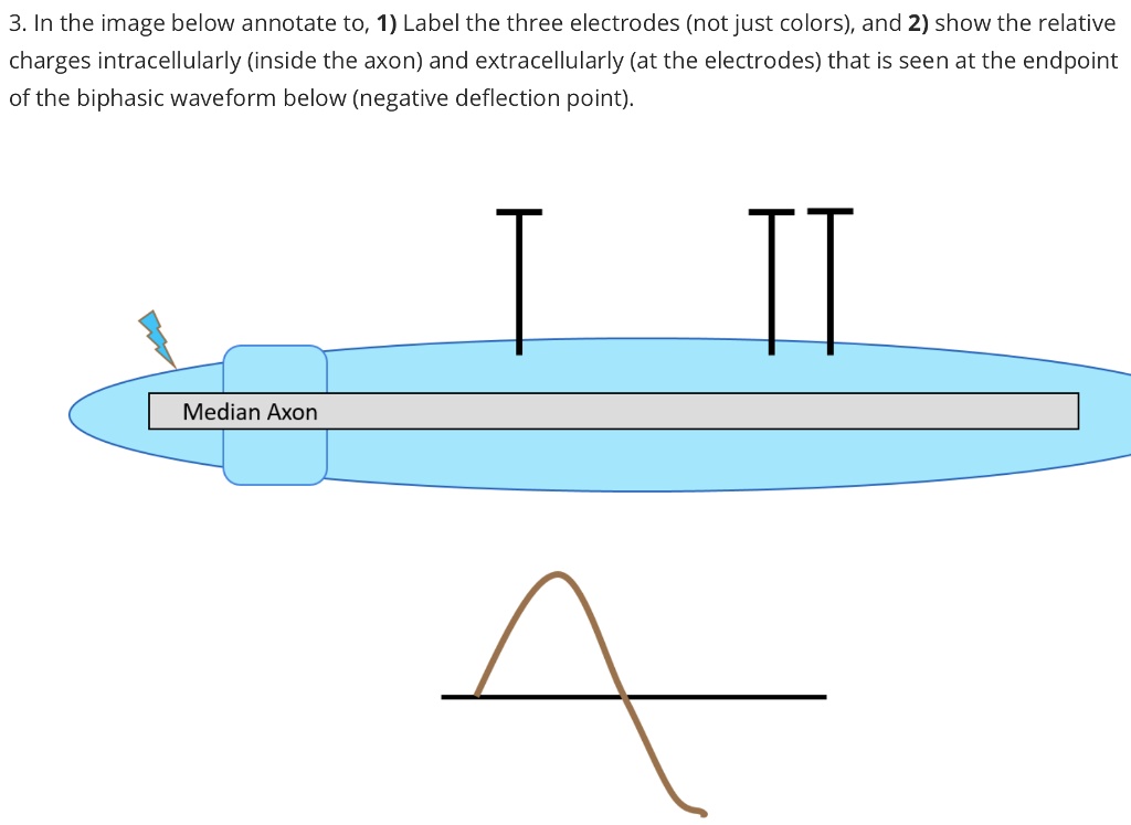 3. In the image below annotate to, 1) Label the three electrodes (not ...