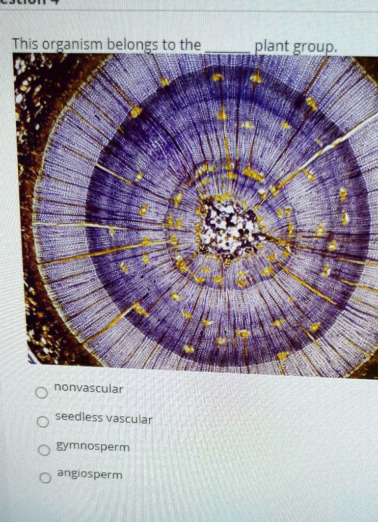 Vascular And Nonvascular Plants