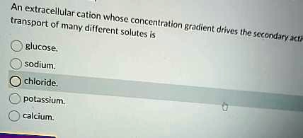 An extracellular cation whose concentration gradient drives the ...
