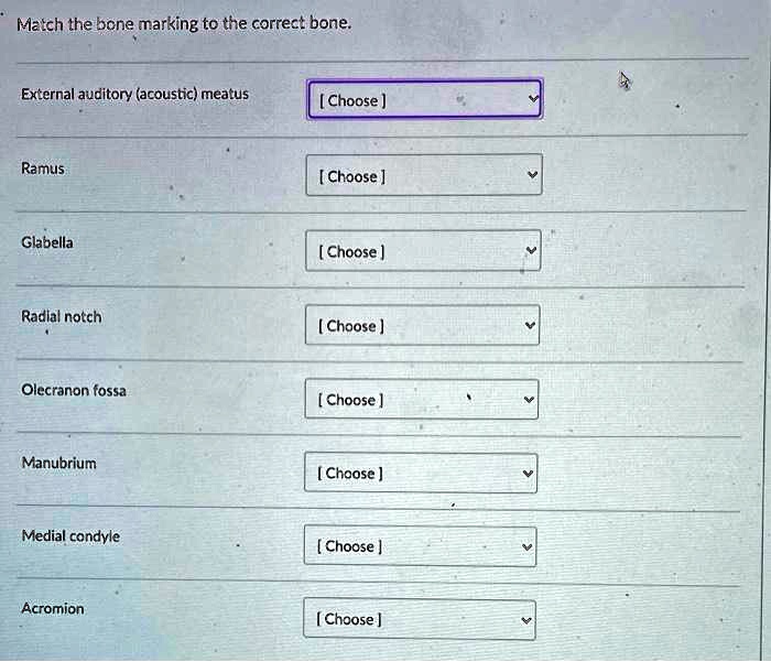 SOLVED: Match the bone marking to the correct bone External auditory (acoustic) meatus [Choose ...