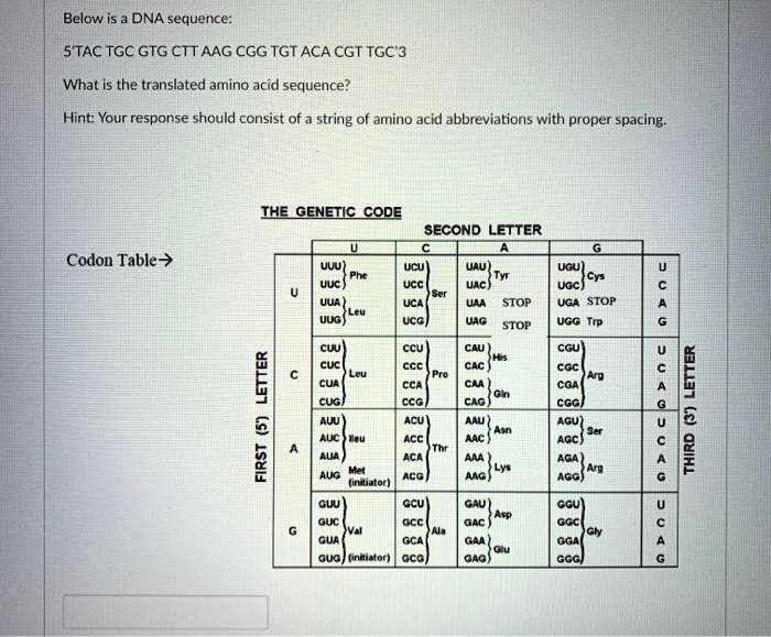 VIDEO solution: Below is the DNA sequence: 5'TAC TGC GTG CTTAAG CGG TGT ACA CGT TGC 3' What is ...