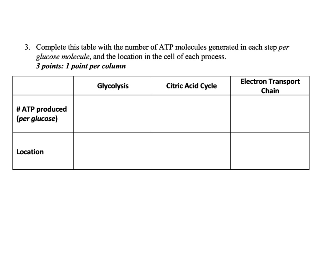 SOLVED:3. Complete this table with the number of ATP molecules ...