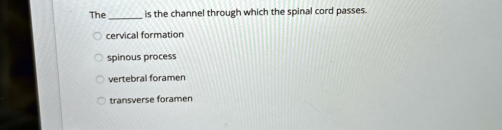 [GET ANSWER] the is the channel through which the spinal cord passes o ...