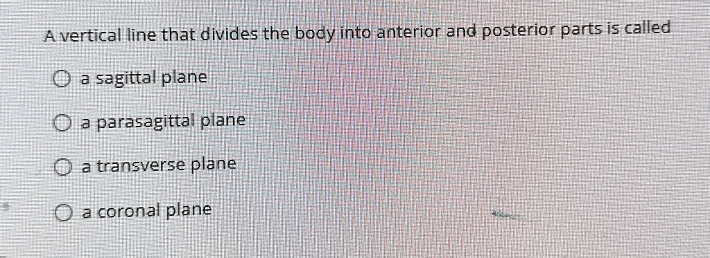 a vertical line that divides the body into anterior and posterior parts ...