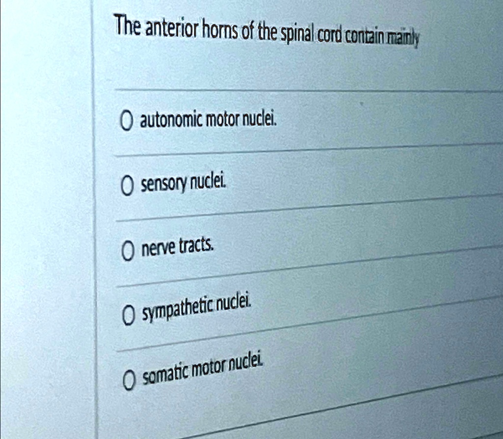SOLVED: The anterior horns of the spinal cord contain mainly autonomic ...