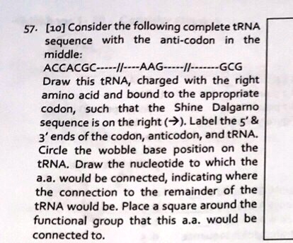 SOLVED: [10] Consider the following complete tRNA sequence with the ...