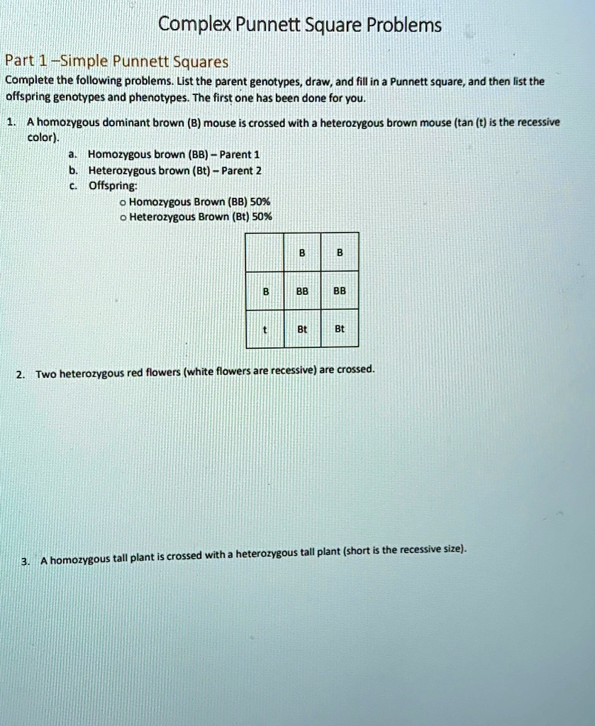 Complex Punnett Square Problems Part 1-Simple Punnett Squares Complete ...