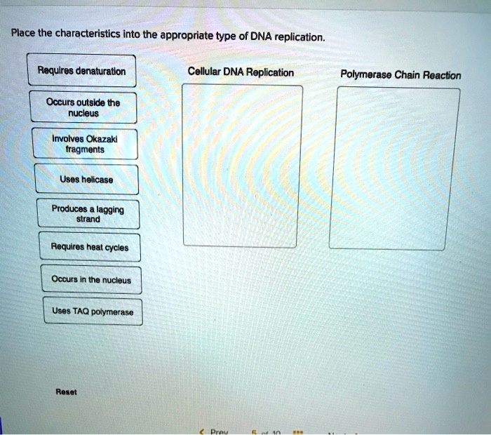 Place the characteristics into the appropriate type of DNA replication ...