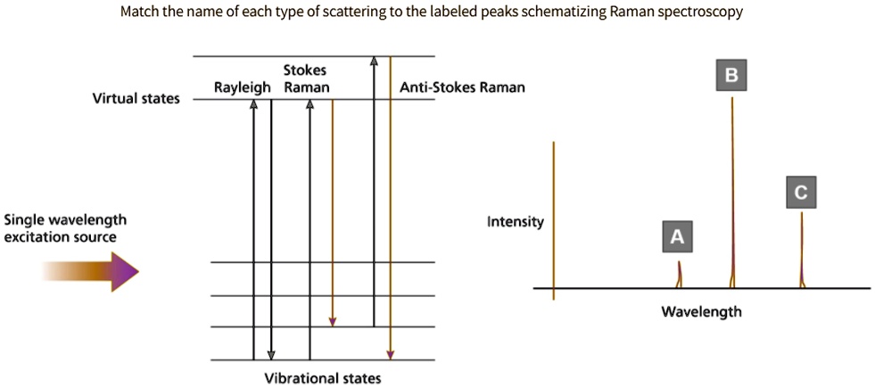 SOLVED: Match the name of each type of scattering to the labeled peaks ...