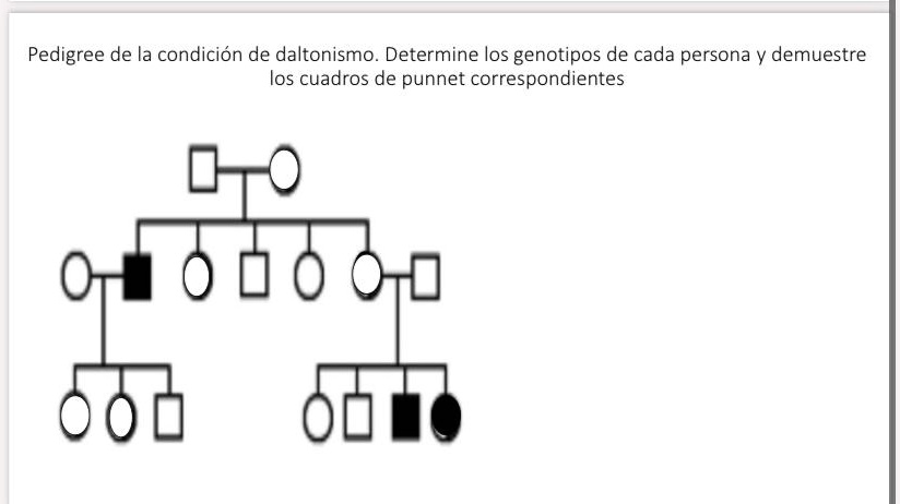 SOLVED: Pedigree of the condition of color blindness. Determine the ...