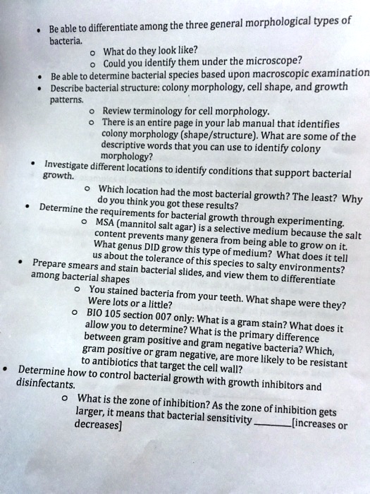 SOLVED: Be able to differentiate among the three general morphological ...