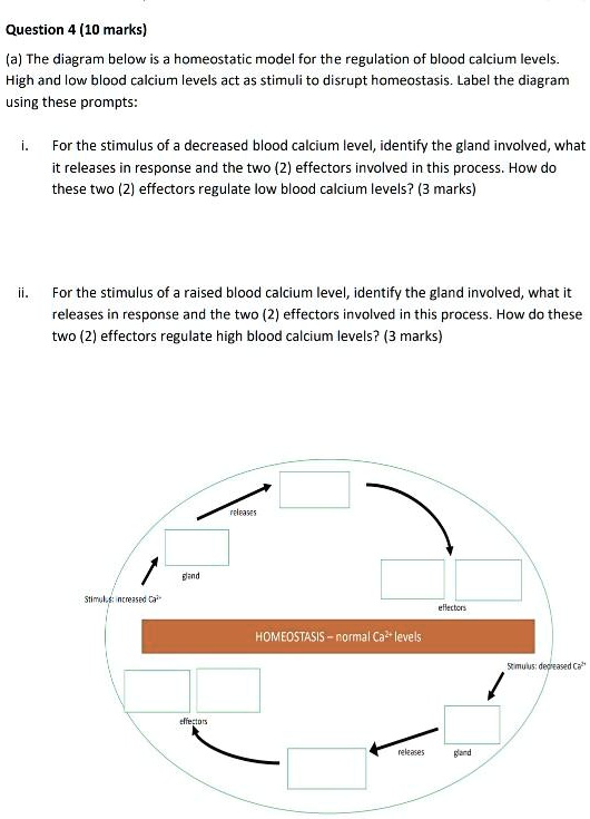 question 10 marks a the diagram below is homeostatic model for the ...