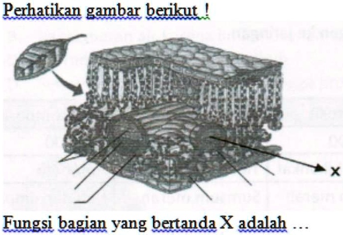 fungsi bagian x apa perhatikan gambar berikut fungsi bagian yang ... fungsi bagian x apa perhatikan gambar berikut fungsi bagian yang ...
