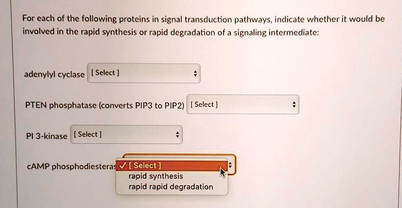 SOLVED:For each of the following proteins in signal transduction ...