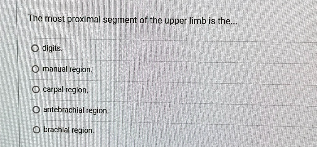 The most proximal segment of the upper limb is the... digits. manual ...