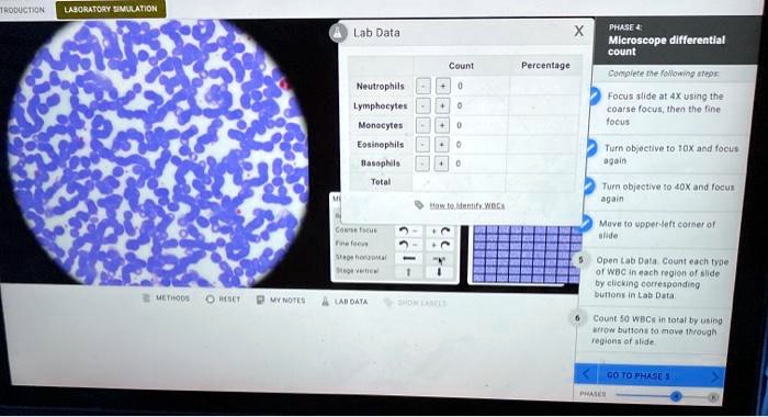 SOLVED: Introduction Lab Data X PHASE Microscope differential count Count Percentage Complete ...