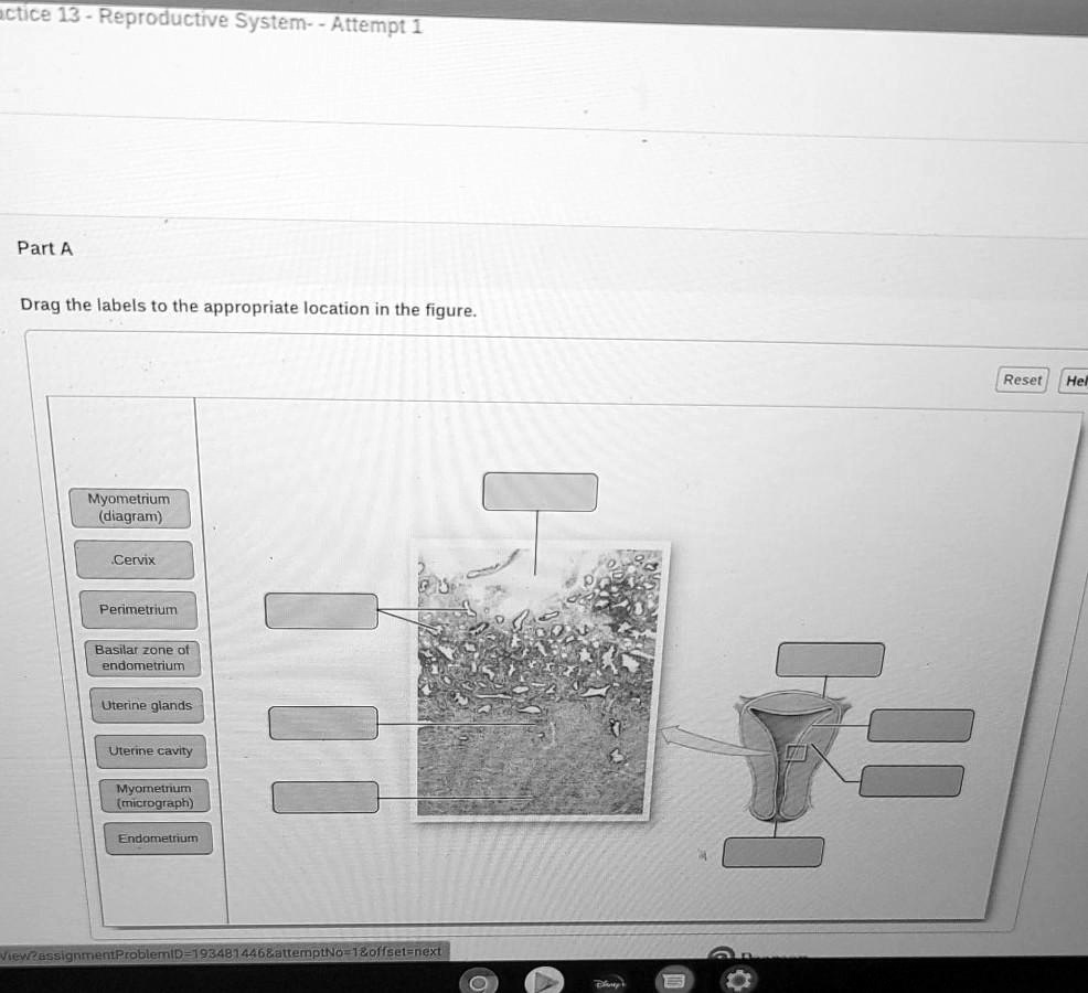 Part A Drag the labels to the appropriate locations in the figure ...