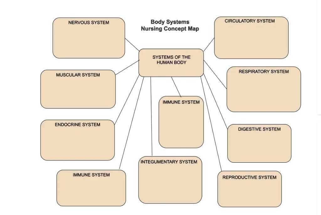 SOLVED: Please complete a concept map on an abdominal gunshot wound ...