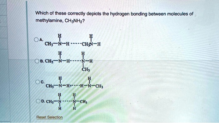 which of these correctly depicts the hydrogen bonding between molecules ...