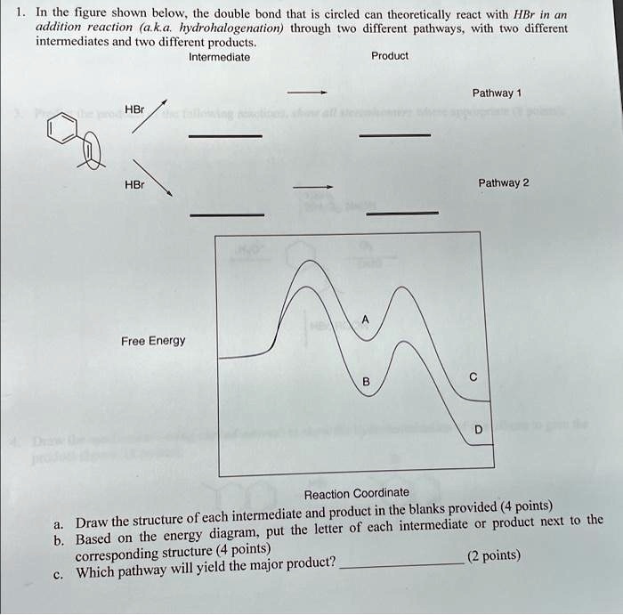 SOLVED: 1. In the figure shown below, the double bond that is circled can theoretically react ...