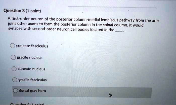 Question 3 (1 point) A first-order neuron of the posterior column ...