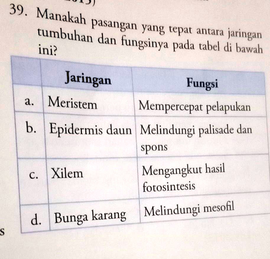 SOLVED: Soal Biologi kelas 7 39 F D Manakah pasangan tumbuhan yang ...