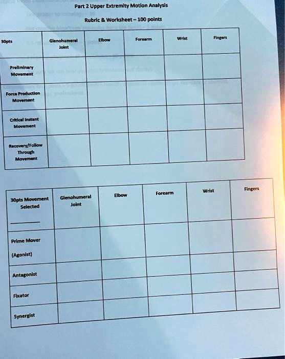 Part 2 Upper Extremity Motion Analysis Rubric Worksheet-100 points ...