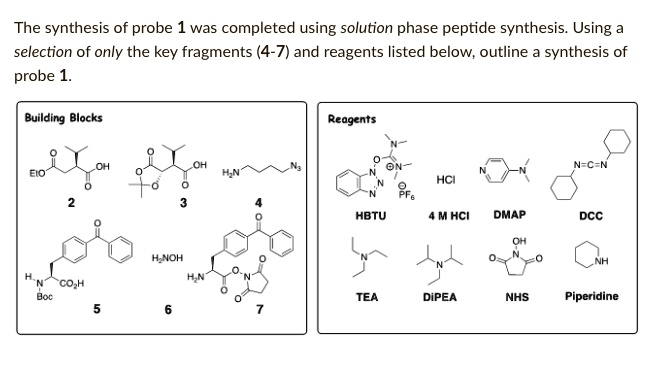 The synthesis of probe 1 was completed using solution phase peptide ...