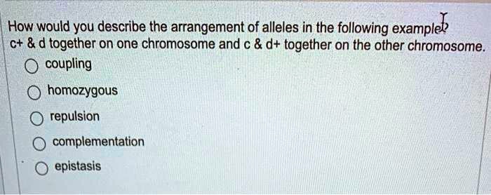 SOLVED: How would you describe the arrangement of alleles in the ...
