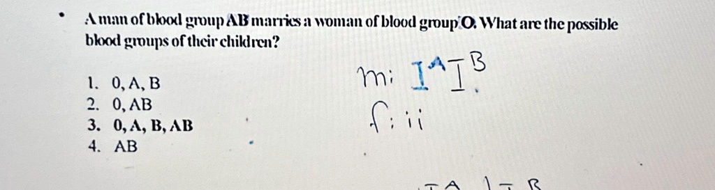 A man of blood group AB marries a woman of blood group O. What are the ...