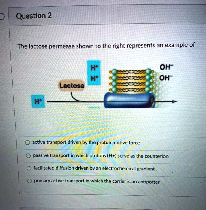 SOLVED: Question 2 The lactose permease shown to the right represents ...