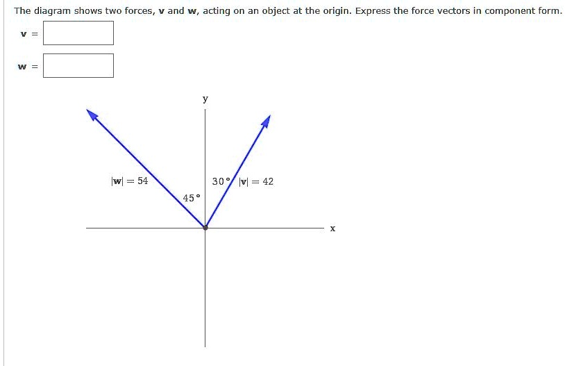The diagram shows two forces, v and w, acting on an object at the ...