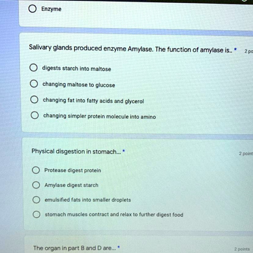 Enzyme In Saliva That Digests Starch at Debra Schaper blog