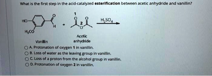 What is the first step in the acid-catalyzed esterification between ...