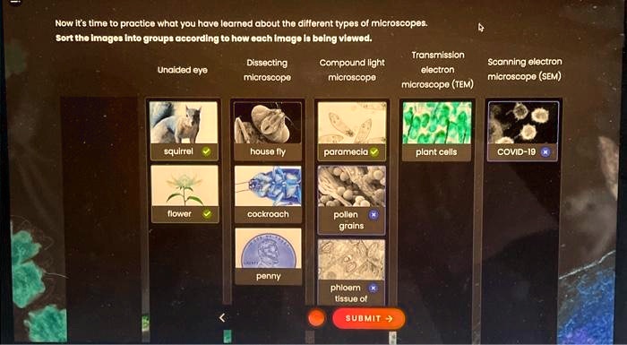 [GET ANSWER] Now it's time to practice what you have learned about the different types of ...