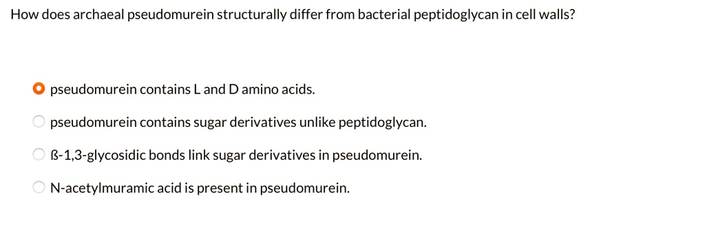 How does archaeal pseudomurein structurally differ from bacterial ...