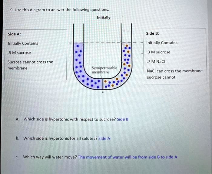 use this diagram to answer the following questions side a side b initially contains initially ...