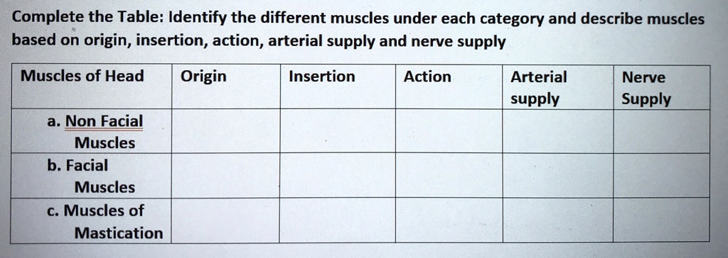 Complete the Table: Identify the different muscles under each category ...