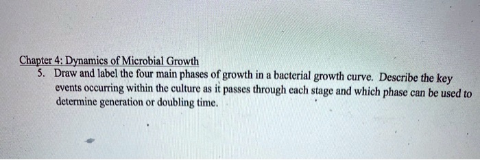 chapter 4 dynamics of microbial growth draw and label the four main ...