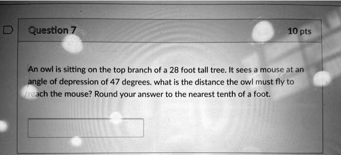 SOLVED: Question 7 10 pts An owl is sitting on the top branch of a 28 ... SOLVED: Question 7 10 pts An owl is sitting on the top branch of a 28 ...