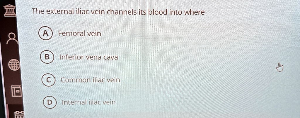 The external iliac vein channels its blood into where A) Femoral vein B ...