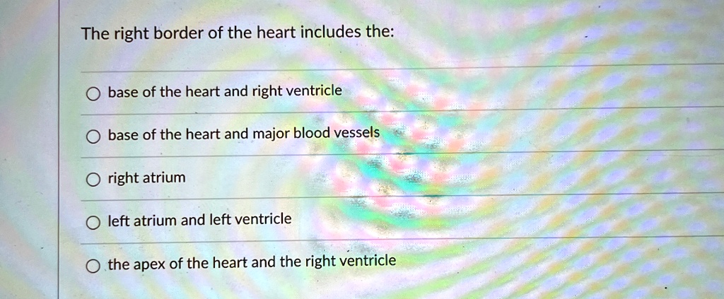 The right border of the heart includes the: base of the heart and right ...