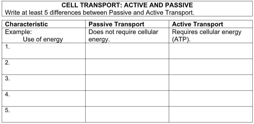 SOLVED: 'Write at least 5 differences between Passive and Active ...