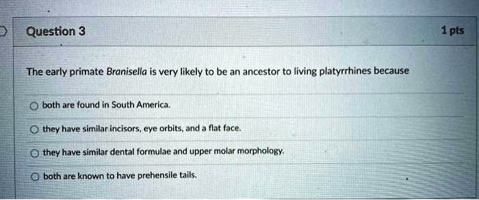 The early primate Branisella is very likely to be an ancestor to living ...