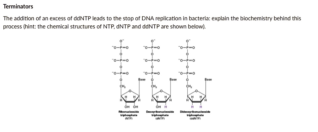 terminators the addition of an excess of ddntp leads to the stop of dna ...
