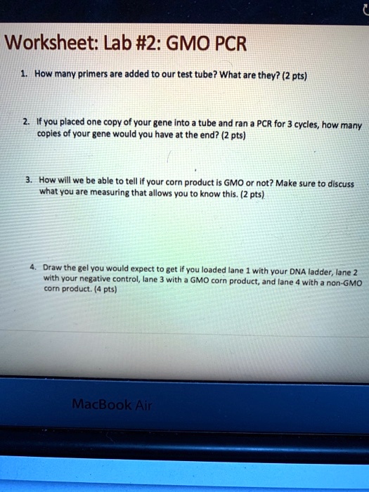 worksheet lab 2 gmo pcr how many primers are added to our test tube ...