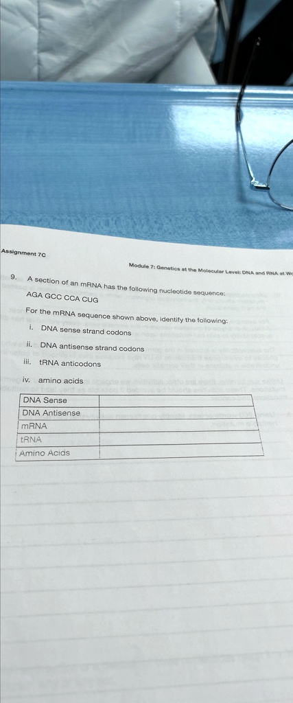 Assignment 7C Module 7: Genetics at the Molecular Level: DNA and RNA at ...