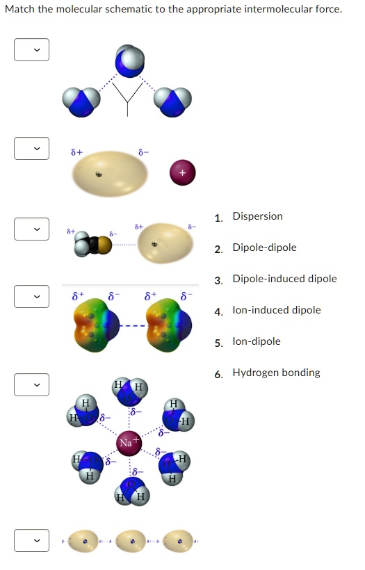SOLVED: Match the molecular schematic to the appropriate intermolecular ...