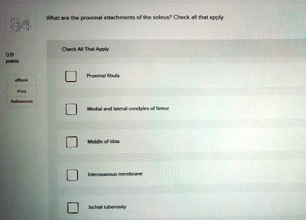 What are the proximal attachments of the soleus? Check all that apply ...