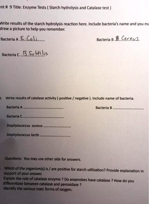 SOLVED: Title: Enzyme Tests: Starch Hydrolysis and Catalase Test Write ...